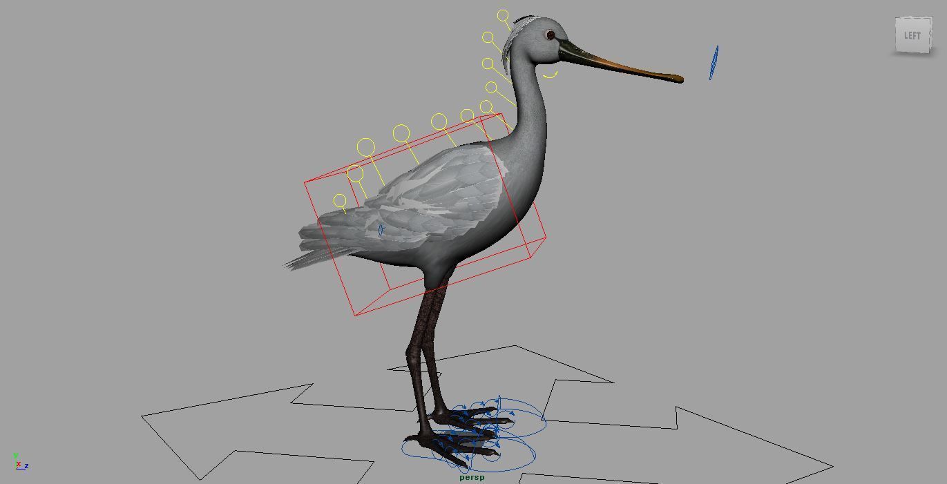 spoonbill stork with beak 3D model rigged | CGTrader