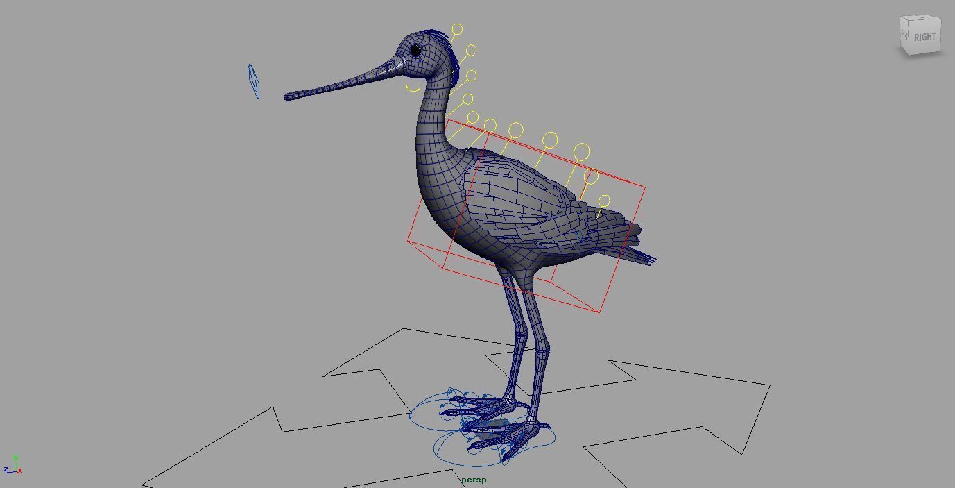 spoonbill stork with beak 3D model rigged | CGTrader