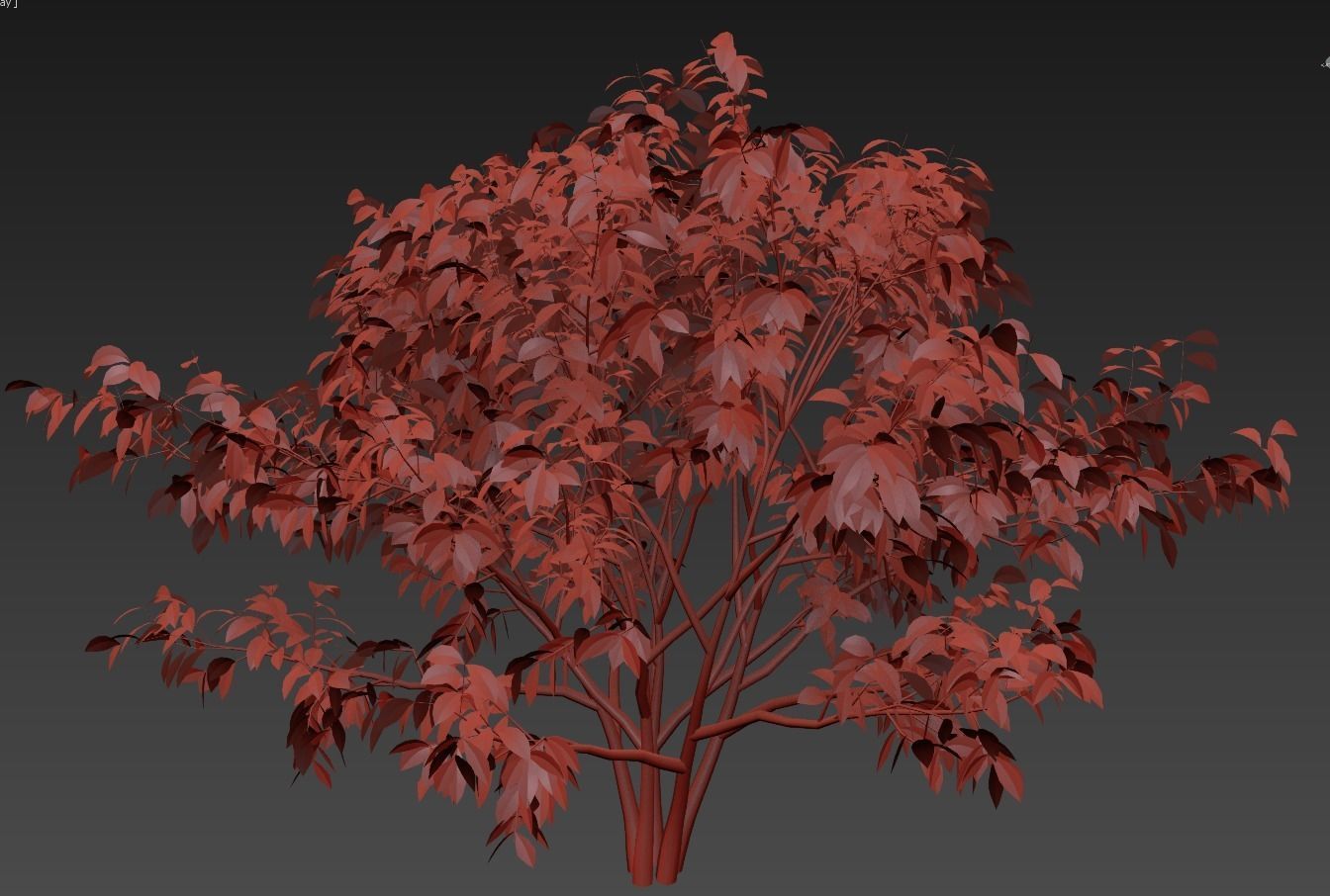 Dwarf Burning Bush 3D model | CGTrader