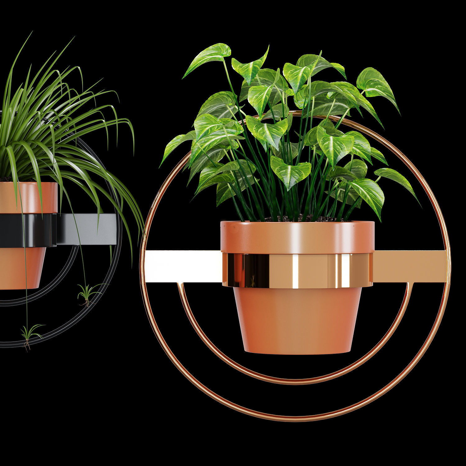 Wall planters round 3D model | CGTrader