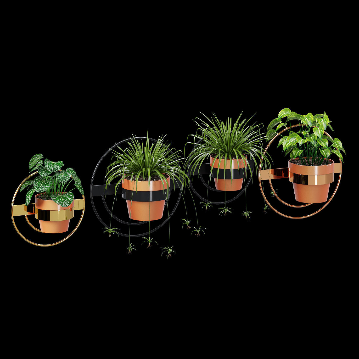 Wall planters round 3D model | CGTrader