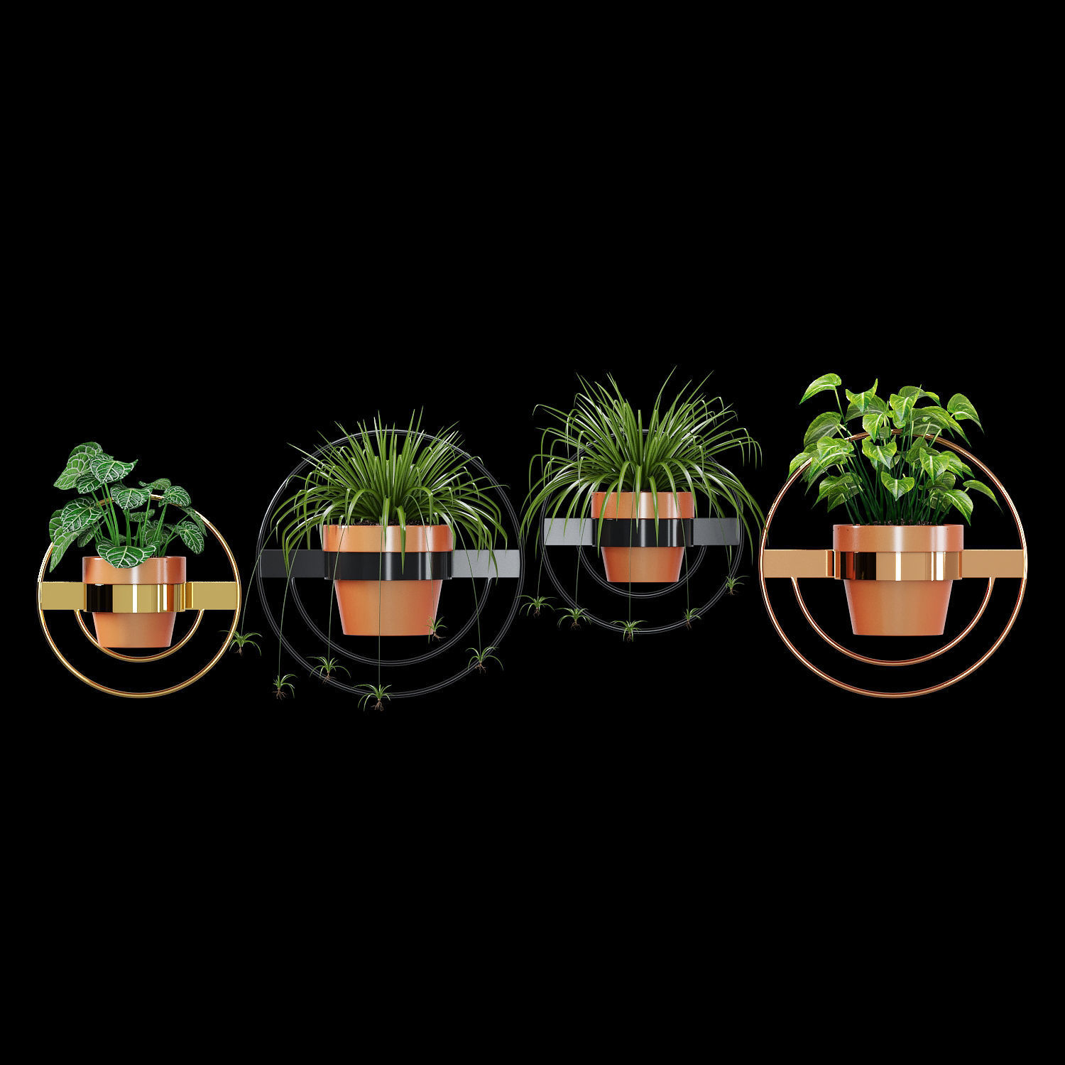 Wall planters round 3D model | CGTrader
