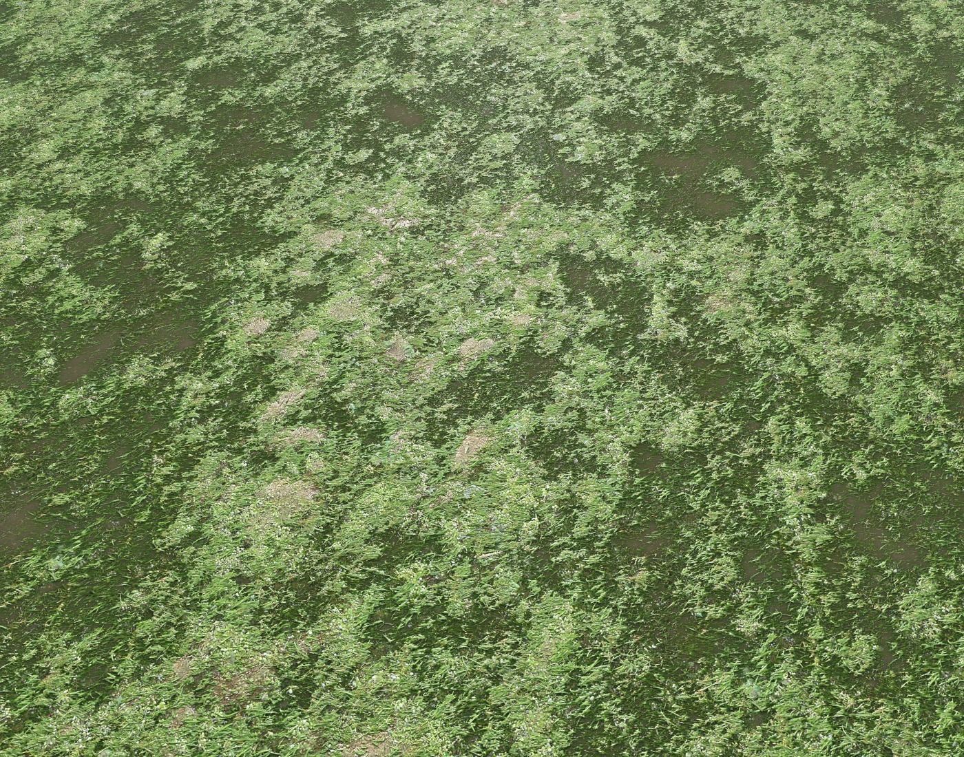 Ground terrain swamp PBR pack 1 Texture | CGTrader