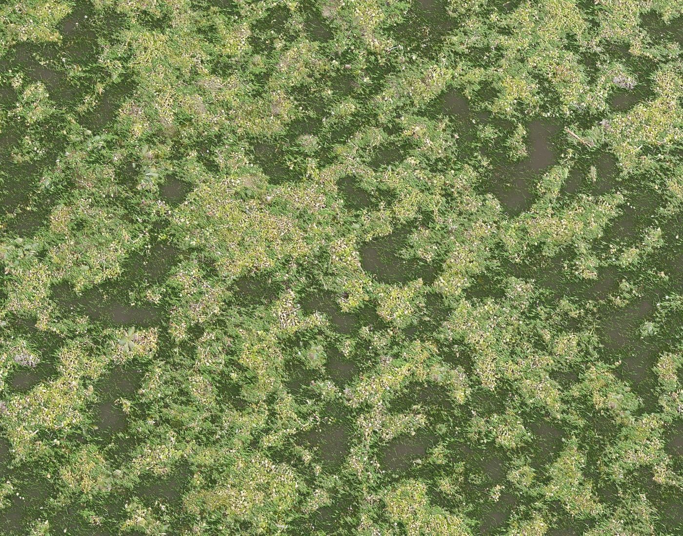 Ground terrain swamp PBR pack 1 Texture | CGTrader
