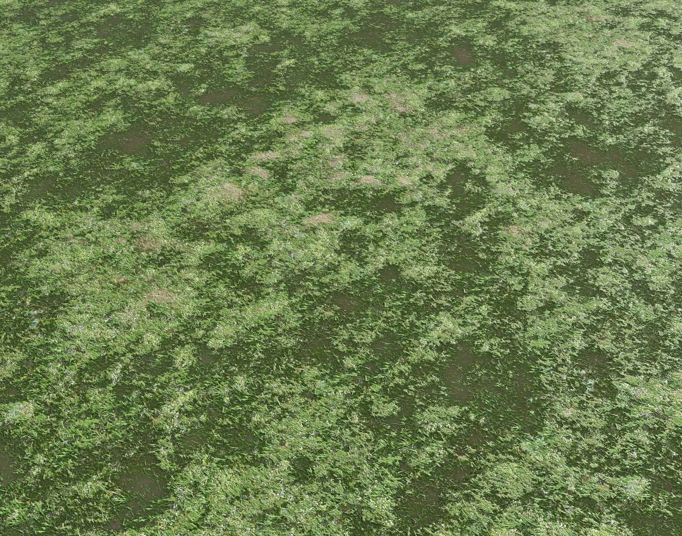 Ground terrain swamp PBR pack 1 Texture | CGTrader