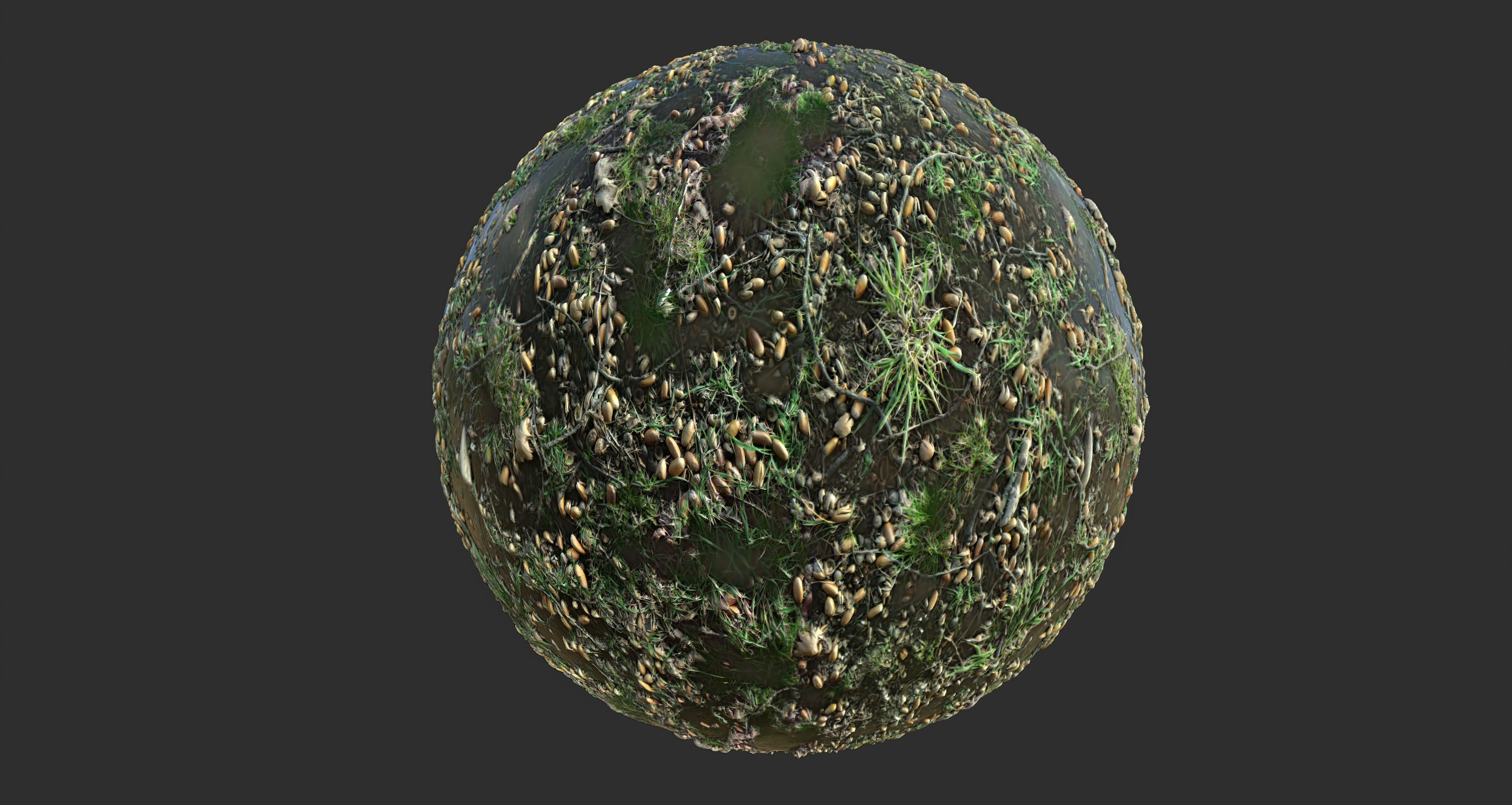 Forest Ground with Water Texture | CGTrader