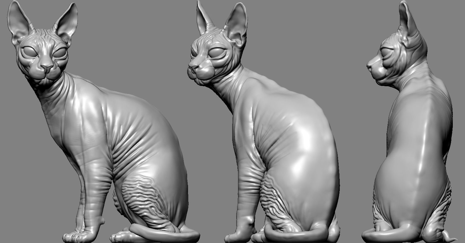 Cat Sphynx 3D model 3D printable | CGTrader