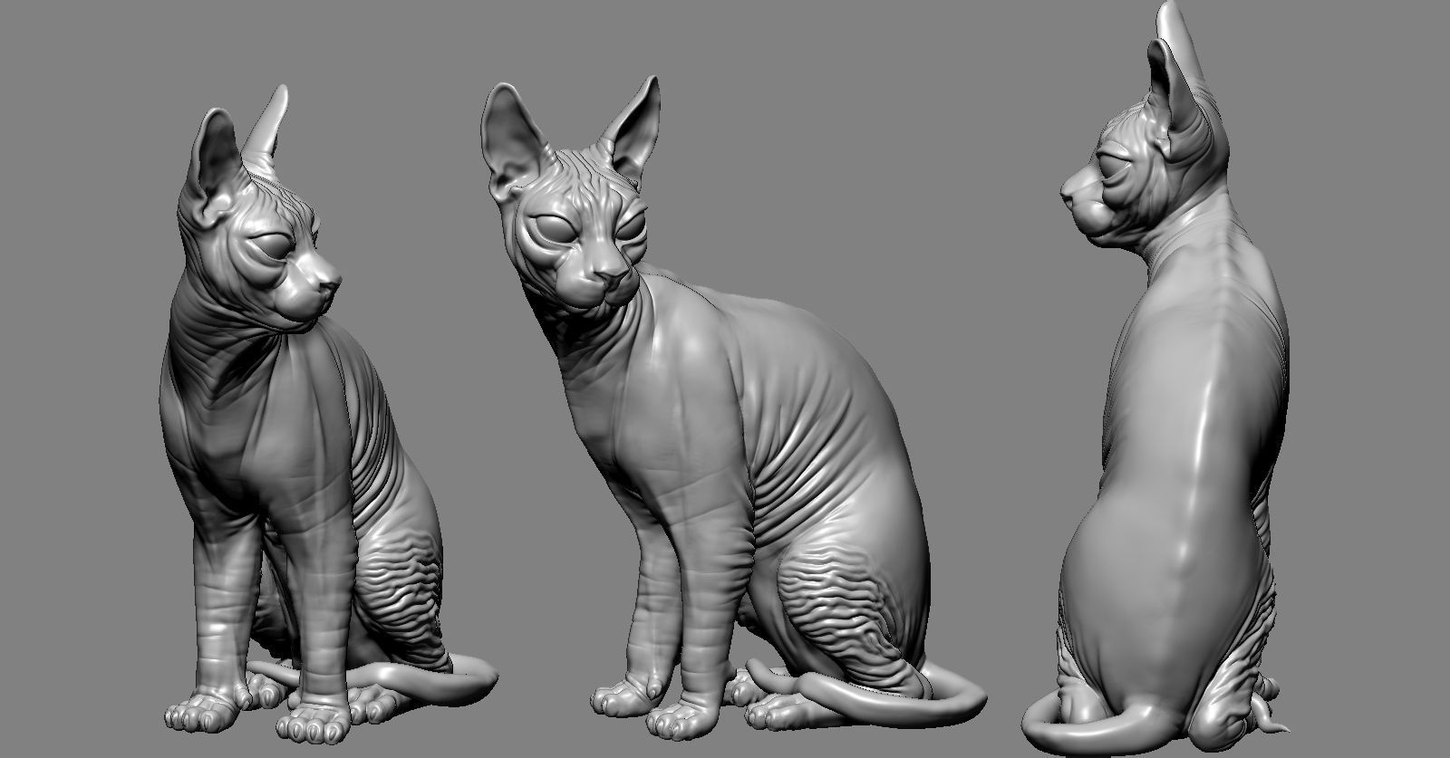 Cat Sphynx 3D model 3D printable | CGTrader