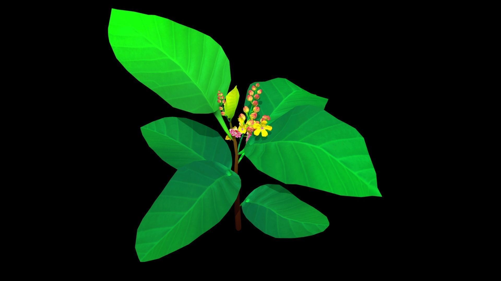3D model Flower Simpor VR / AR / low-poly | CGTrader