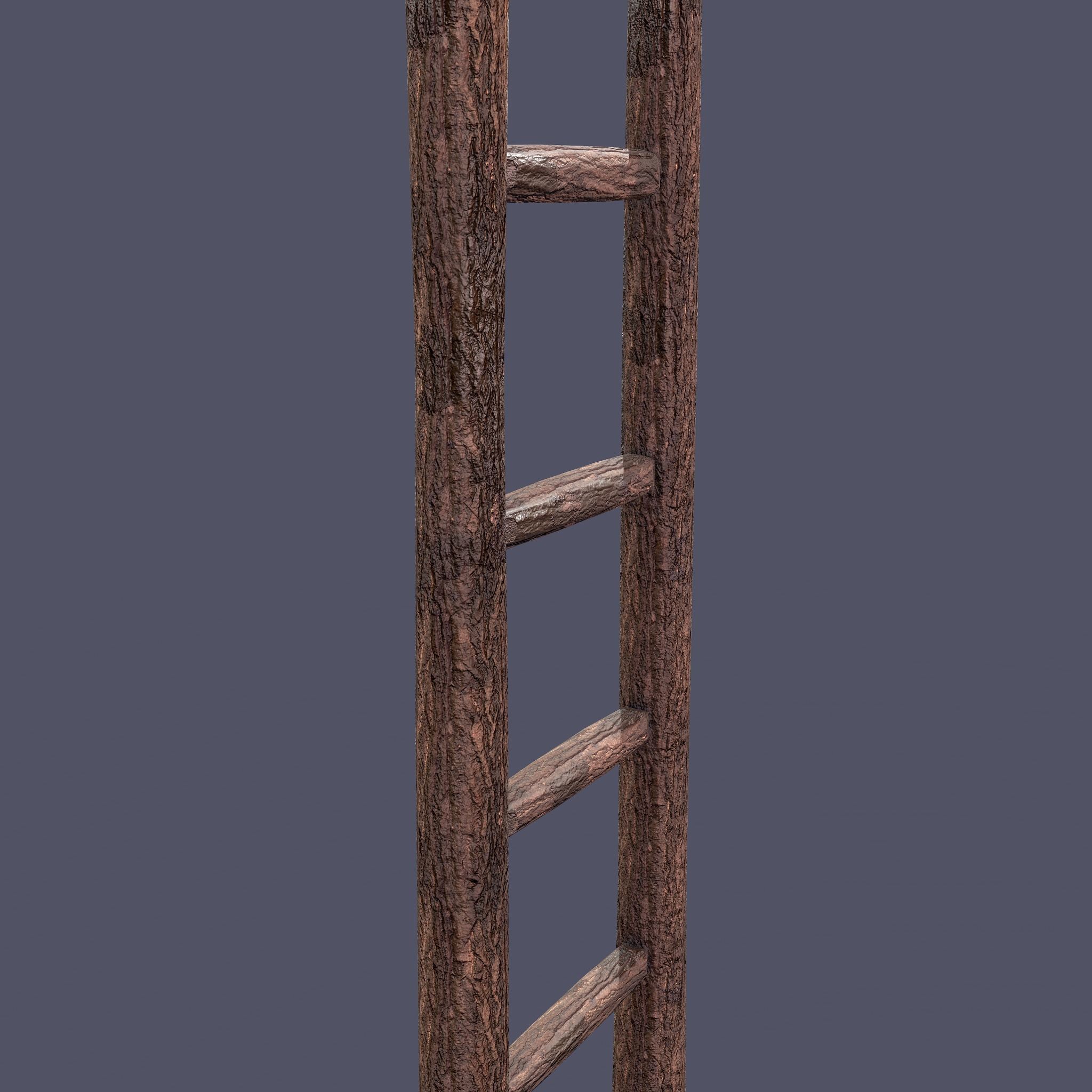 Muddy Ladder free VR / AR / low-poly 3D model | CGTrader