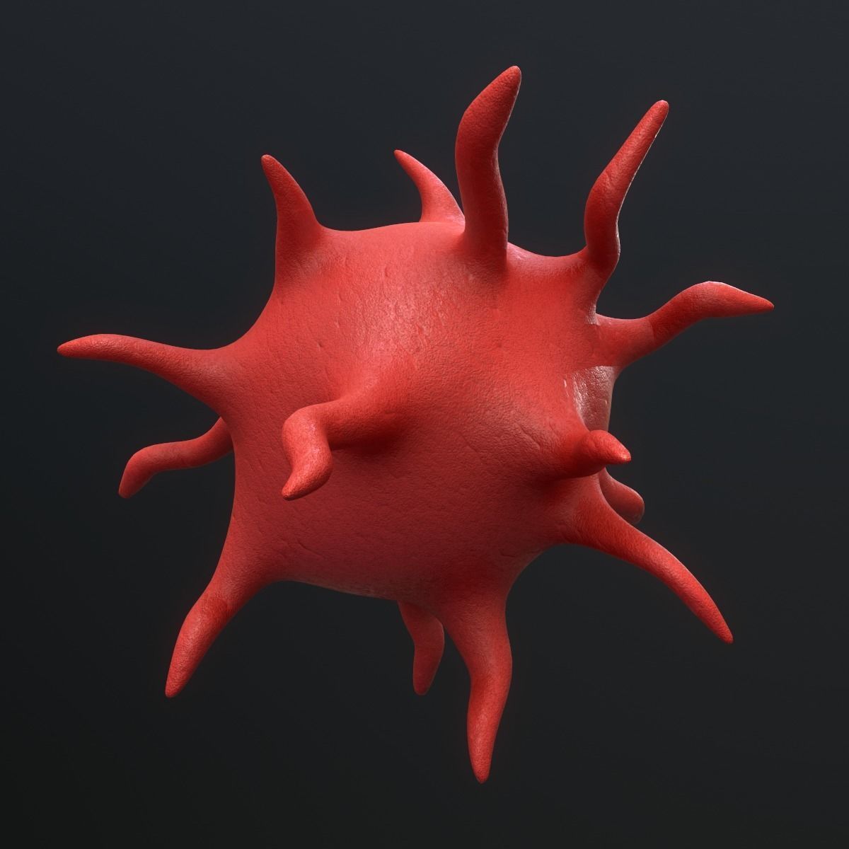 Platelet Thrombocyte 3D model | CGTrader