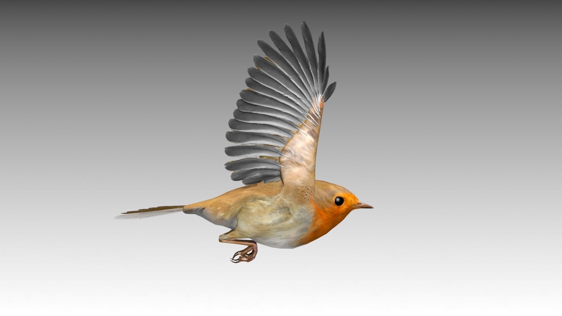 3D model Robin VR / AR / low-poly rigged animated | CGTrader