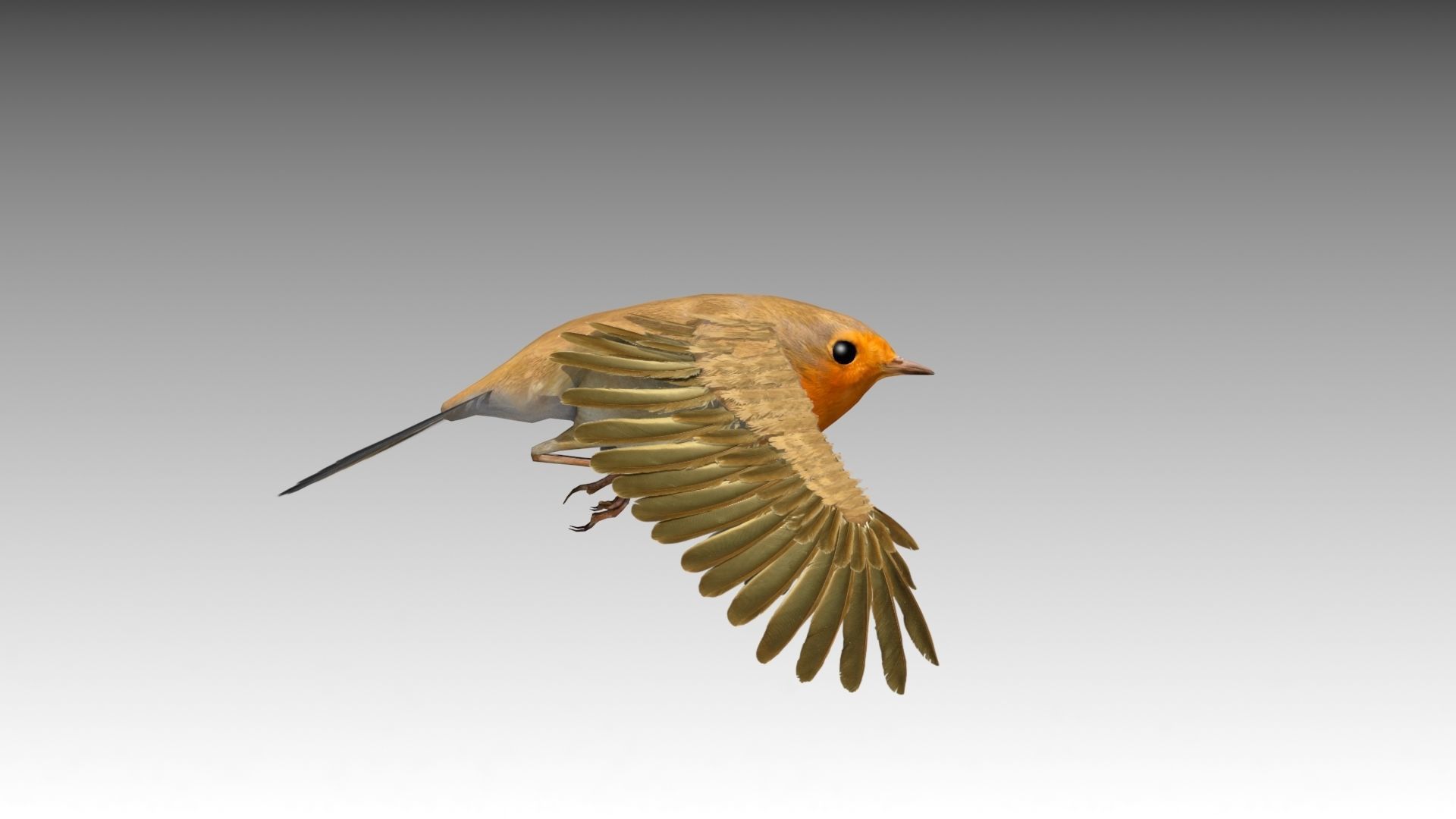 3D model Robin VR / AR / low-poly rigged animated | CGTrader