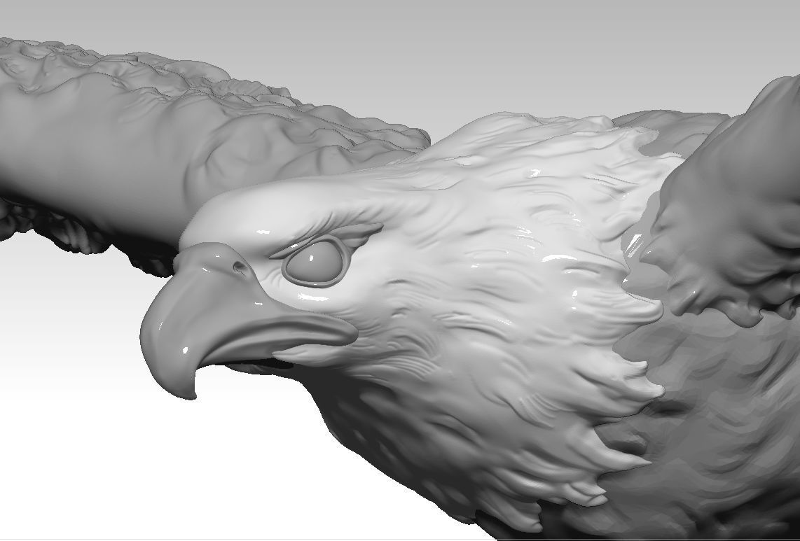 Bald eagle-3D print model 3D model 3D printable | CGTrader