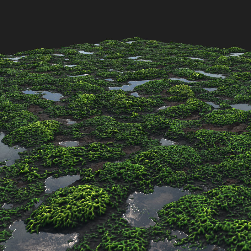 Mossy-Muddy Wetland Texture Set Texture | CGTrader