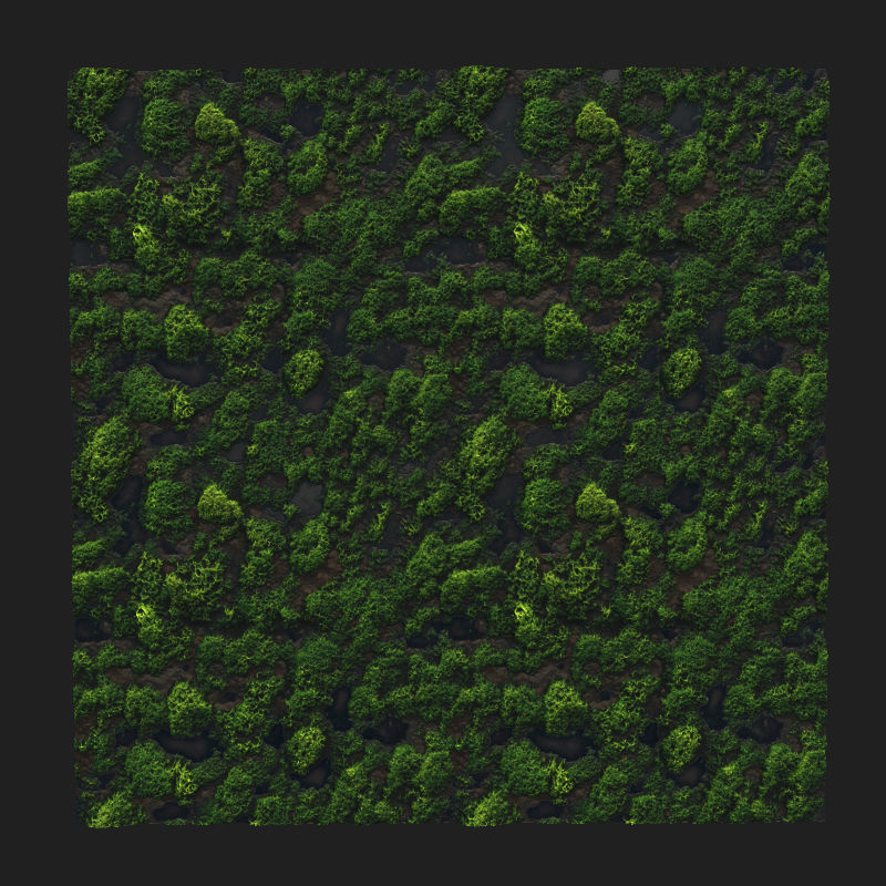 Mossy-Muddy Wetland Texture Set Texture | CGTrader
