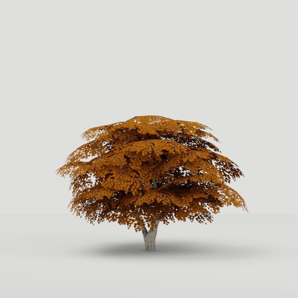 3D model Maple Tree 02 G17 LOD VR / AR / low-poly | CGTrader