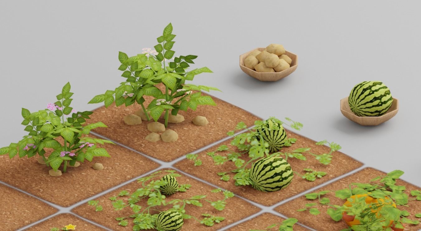 3D model Vegetable Farm G26 VR / AR / low-poly | CGTrader