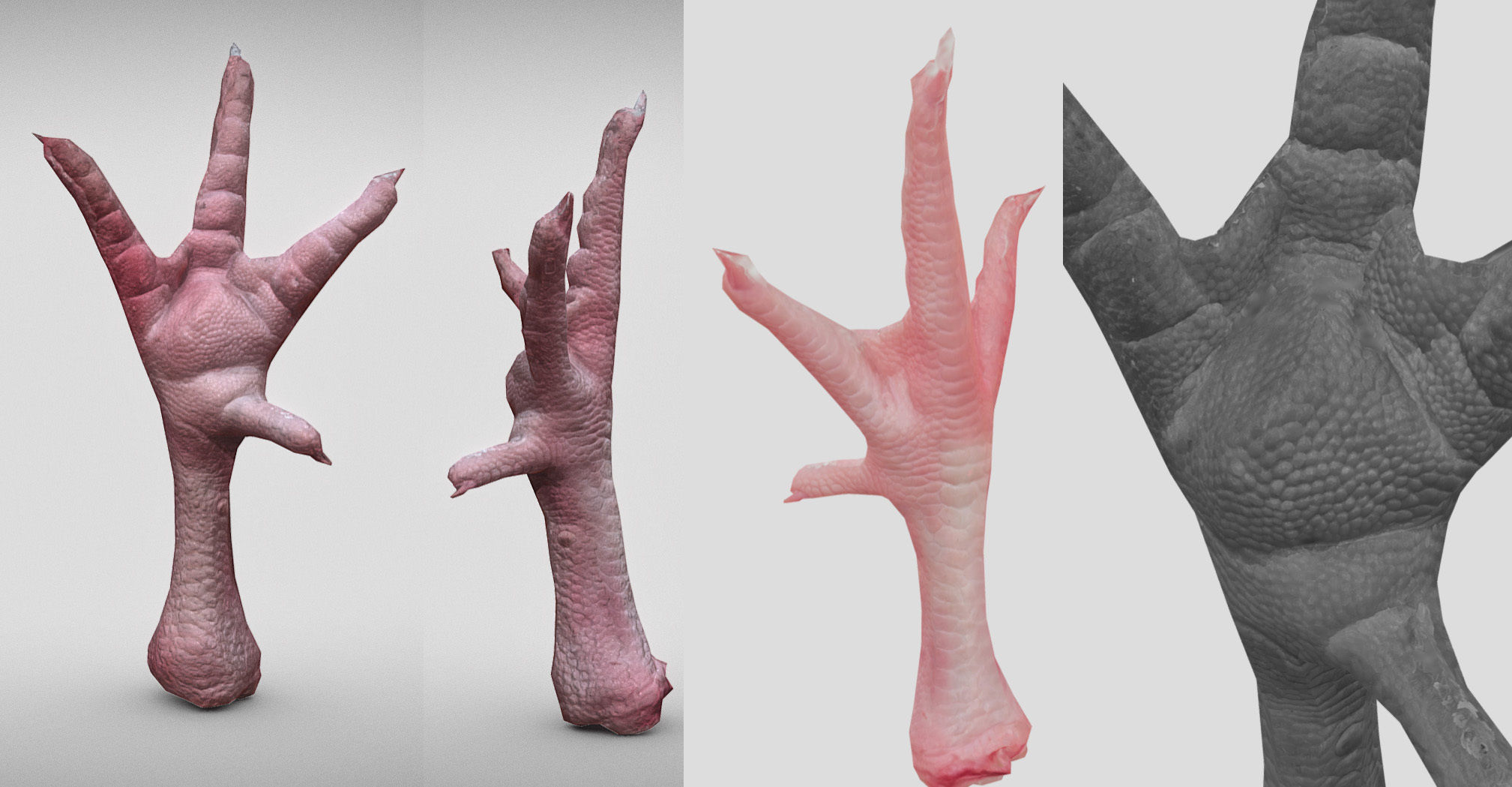 3D model Raw Chicken feet 3dscan model VR / AR / low-poly | CGTrader