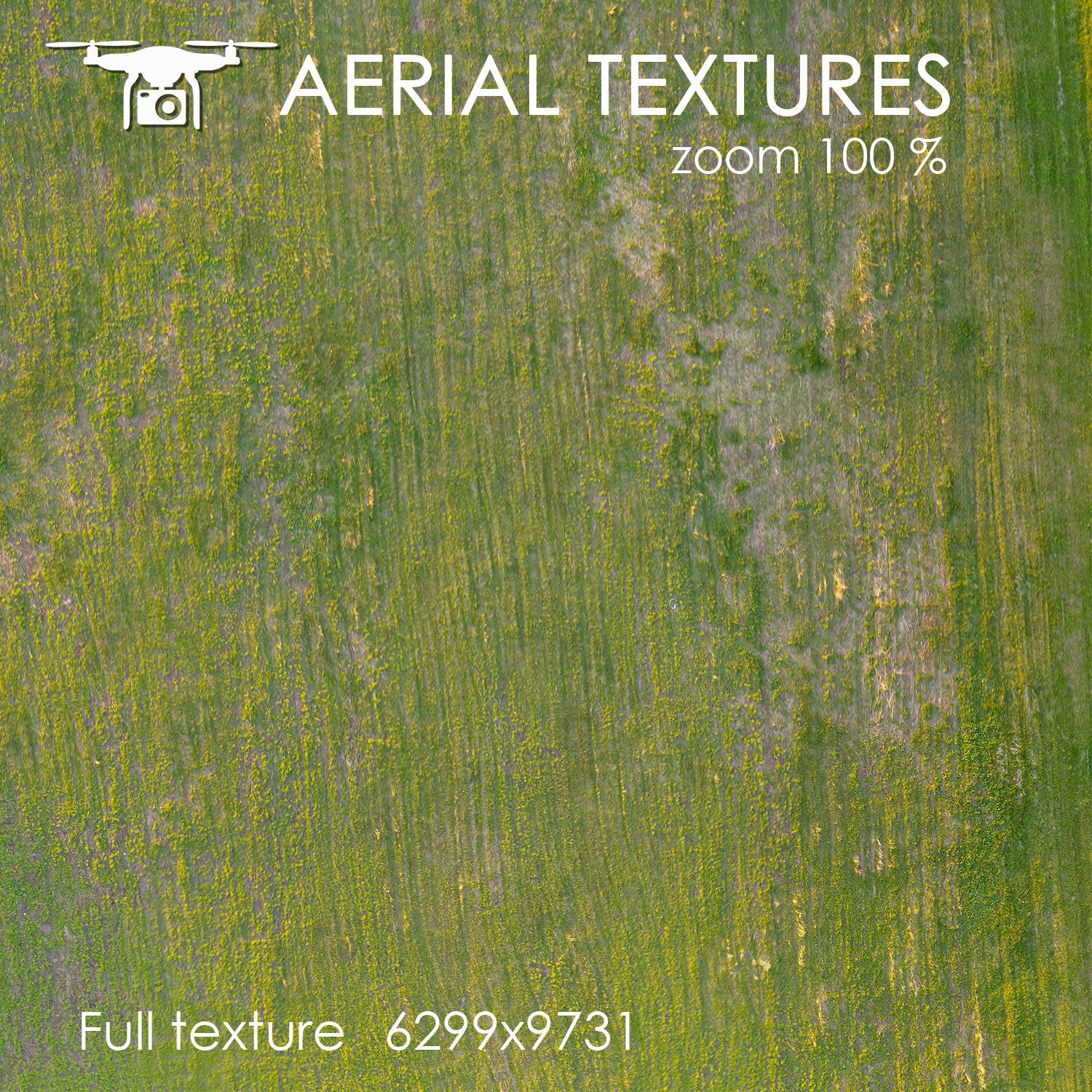 Texture Aerial texture 259 VR / AR / low-poly | CGTrader