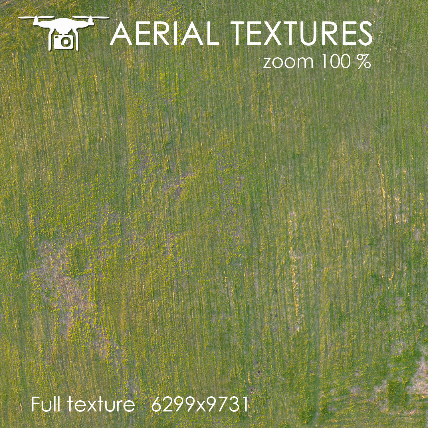 Texture Aerial texture 259 VR / AR / low-poly | CGTrader