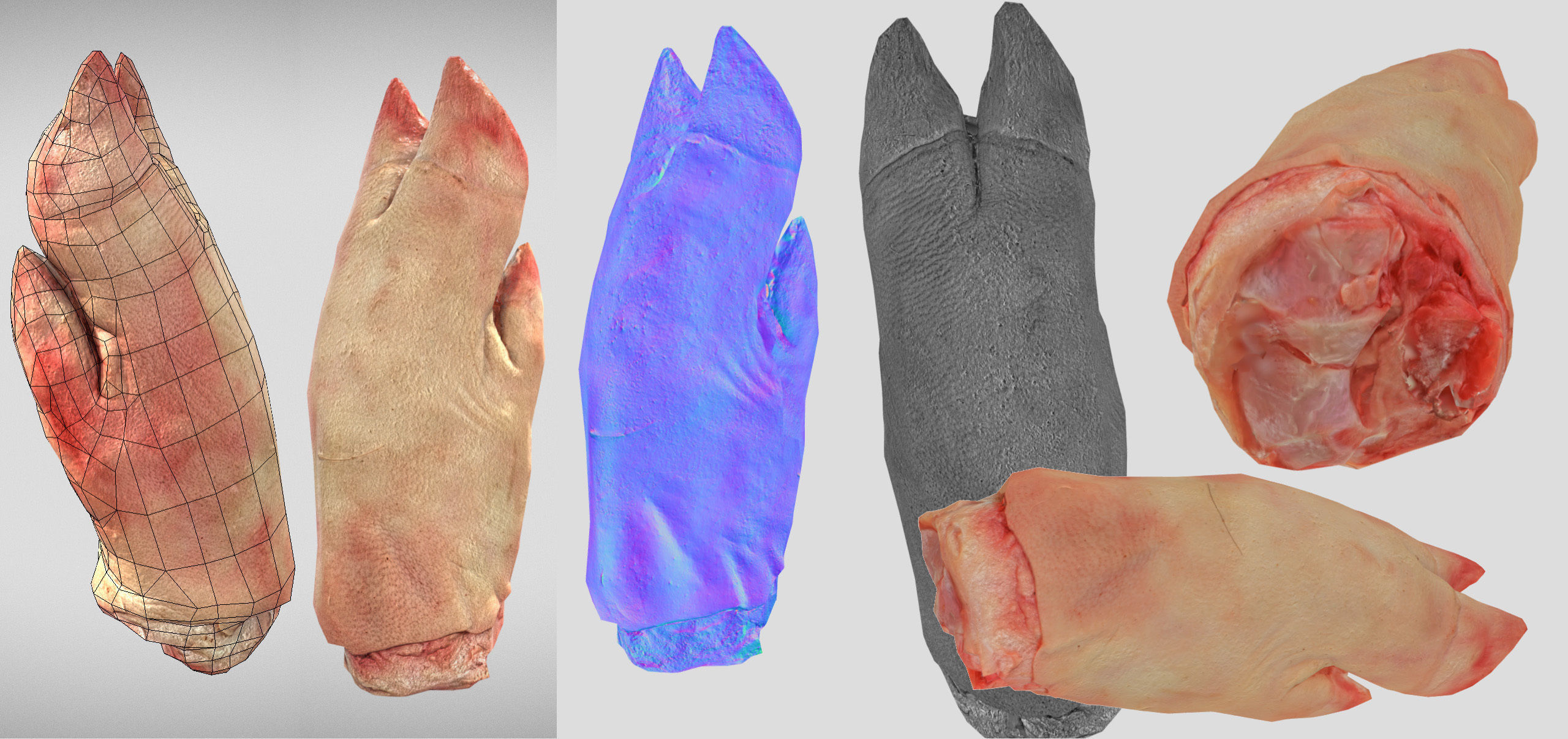 3D model Raw Pigs leg 3D scan VR / AR / low-poly | CGTrader