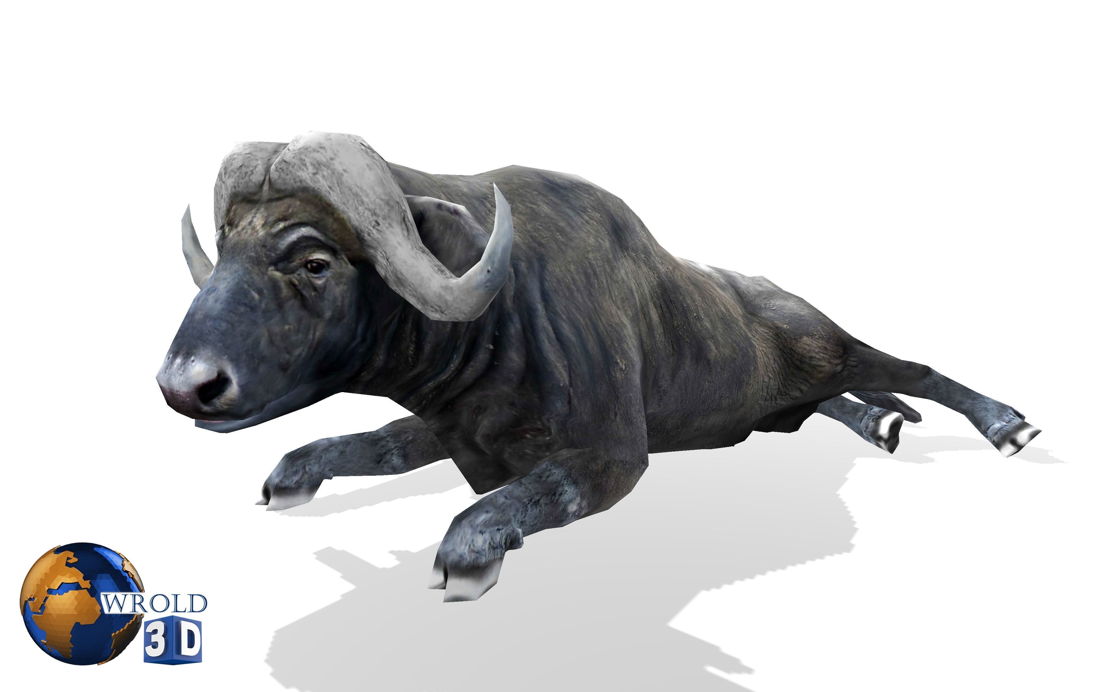 3D model Buffalo rigged animated lowpoly 3d model VR / AR / low-poly ...