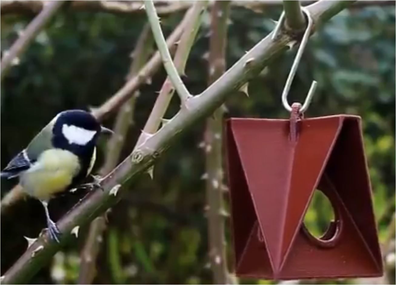 BIRD PYRAMID 3D model 3D printable | CGTrader