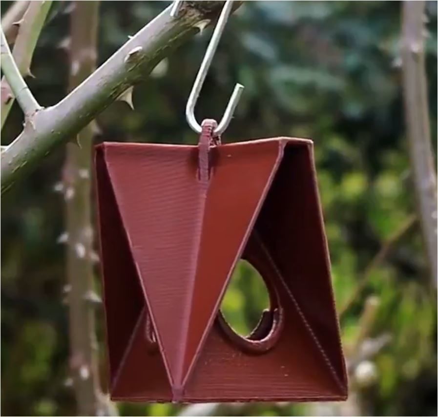 BIRD PYRAMID 3D model 3D printable | CGTrader