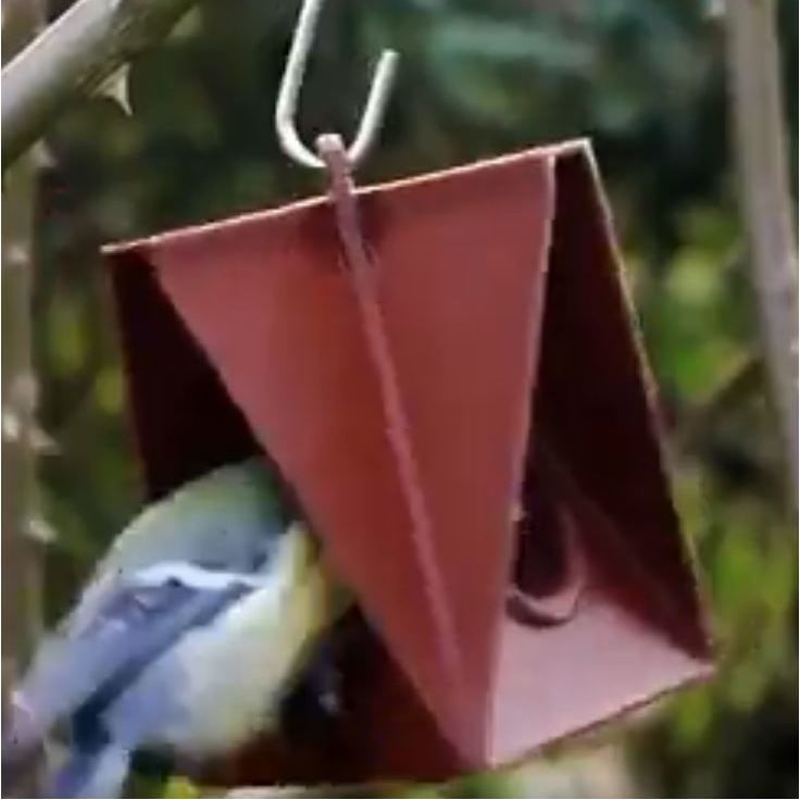 BIRD PYRAMID 3D model 3D printable | CGTrader