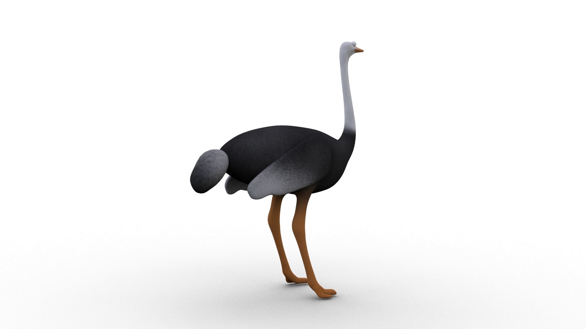 3D model Cartoon Ostrich - Rigged VR / AR / low-poly rigged | CGTrader