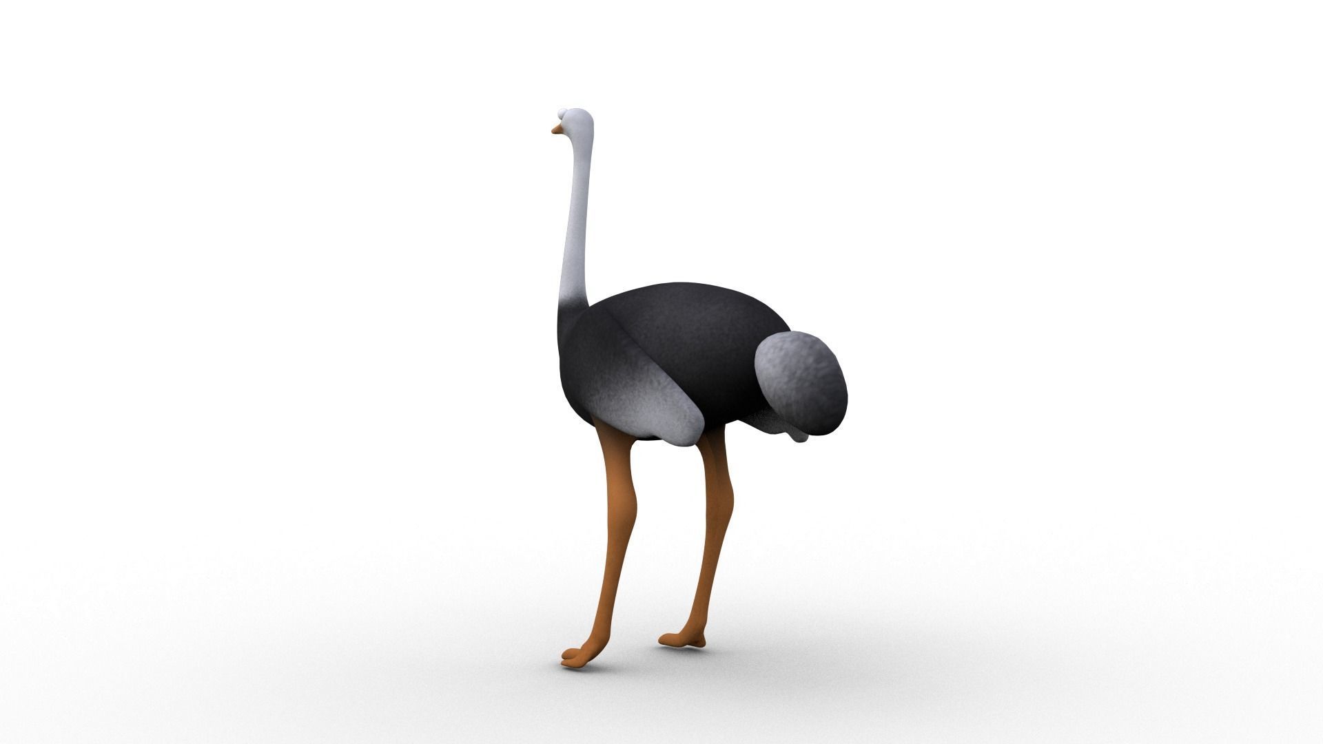 3D model Cartoon Ostrich - Rigged VR / AR / low-poly rigged | CGTrader