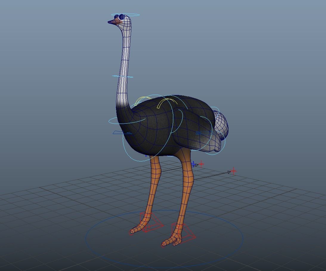 3D model Cartoon Ostrich - Rigged VR / AR / low-poly rigged | CGTrader