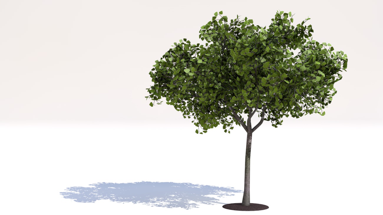 3d tree 3D Models - CGTrader.com