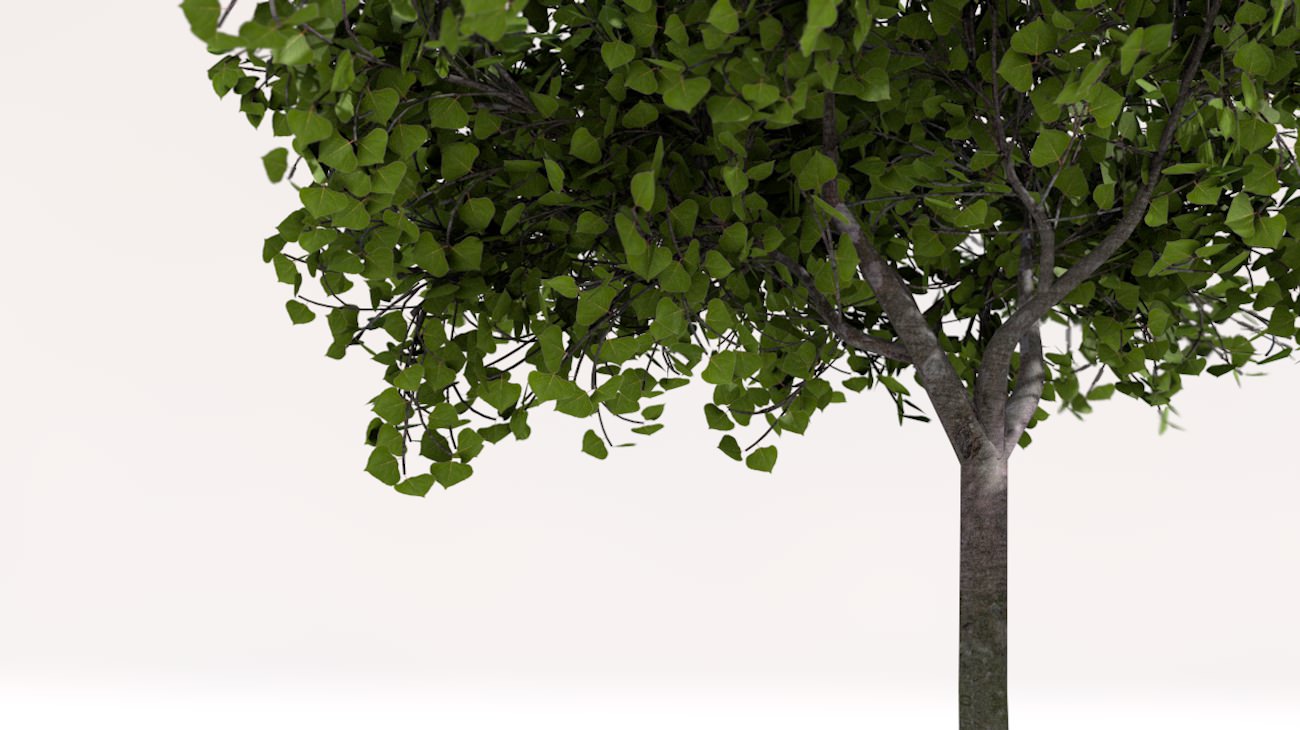 3d tree 3D Models - CGTrader.com