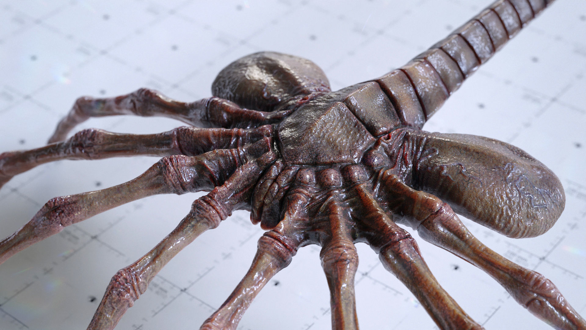 3D model Alien Facehugger - 3D Asset Kit PBR VR / AR / low-poly rigged ...