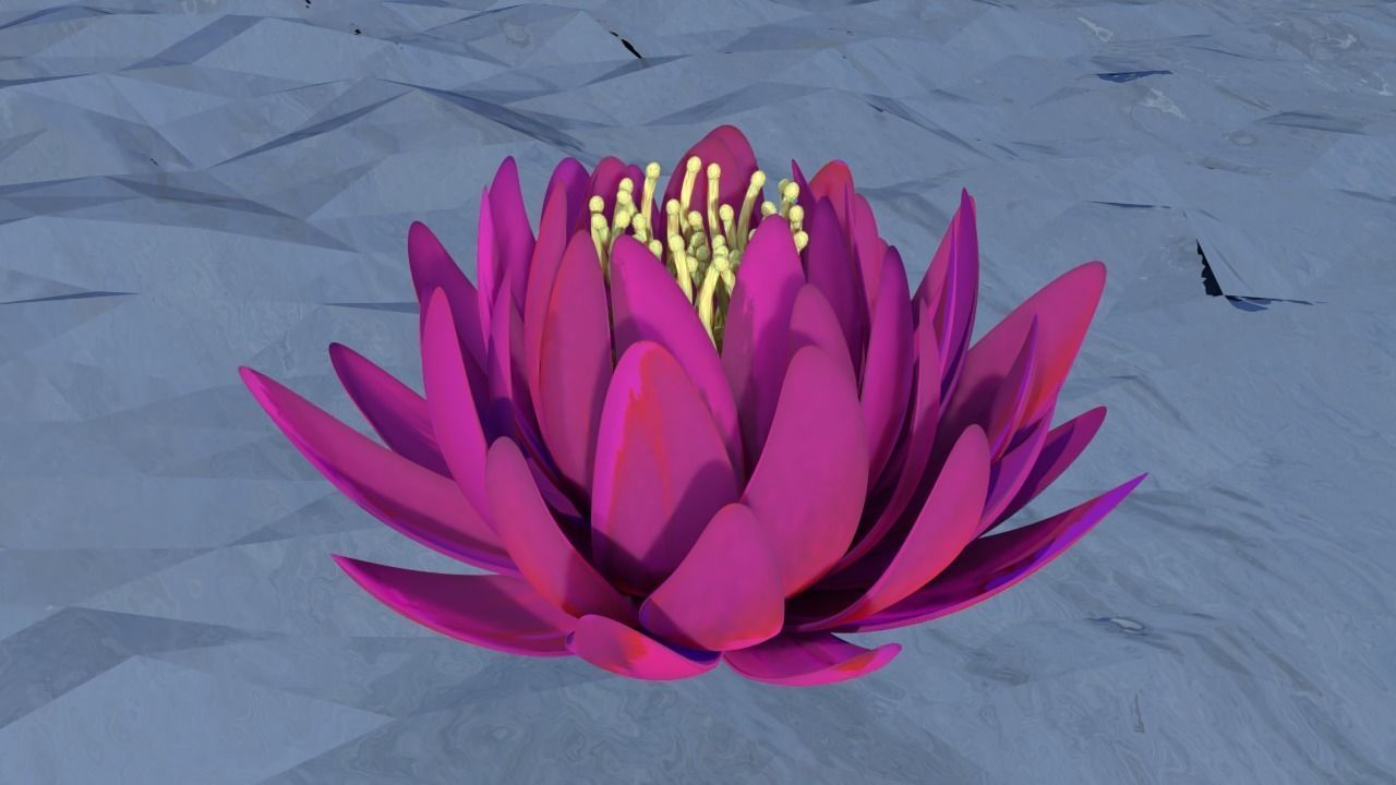Lotus flower free 3D model | CGTrader