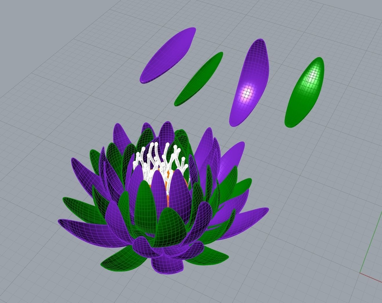Lotus flower free 3D model | CGTrader