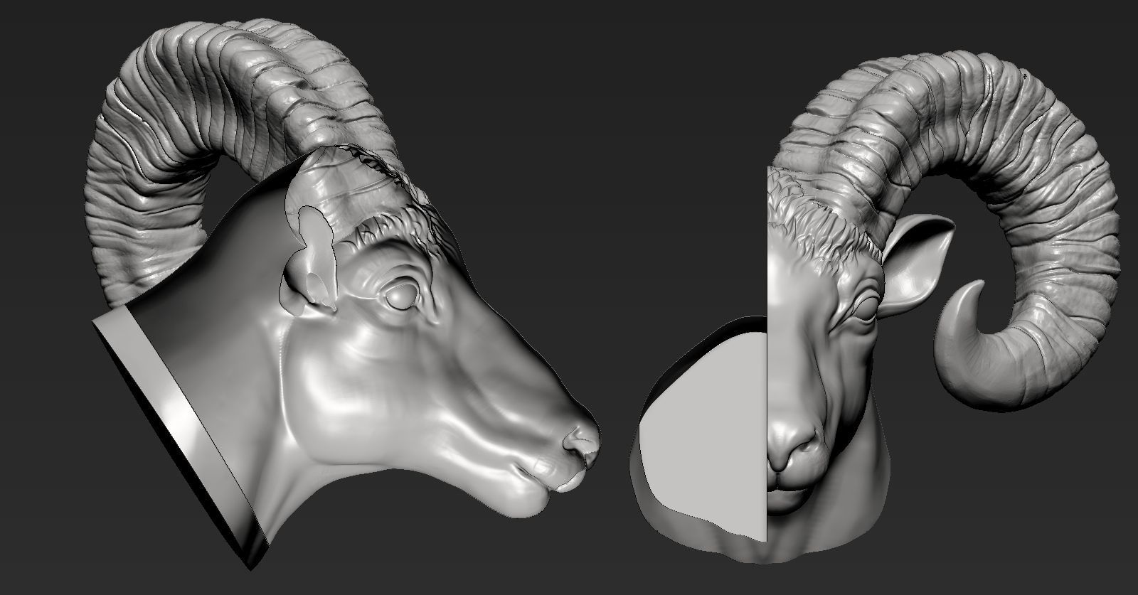 Ram Head 3D model 3D printable | CGTrader