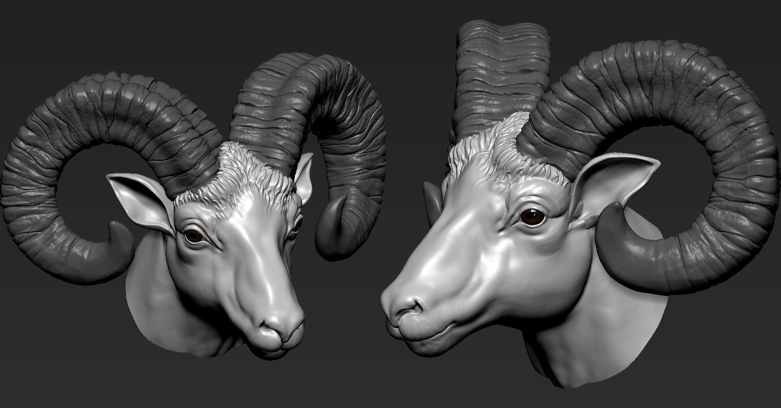 Ram Head 3D model 3D printable | CGTrader