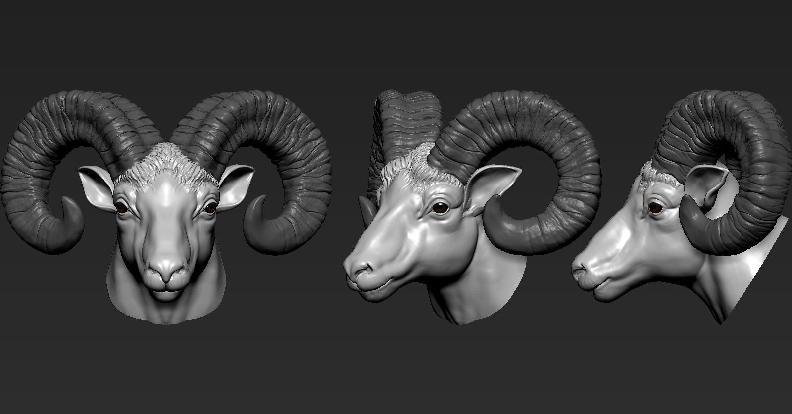 Ram Head 3D model 3D printable | CGTrader