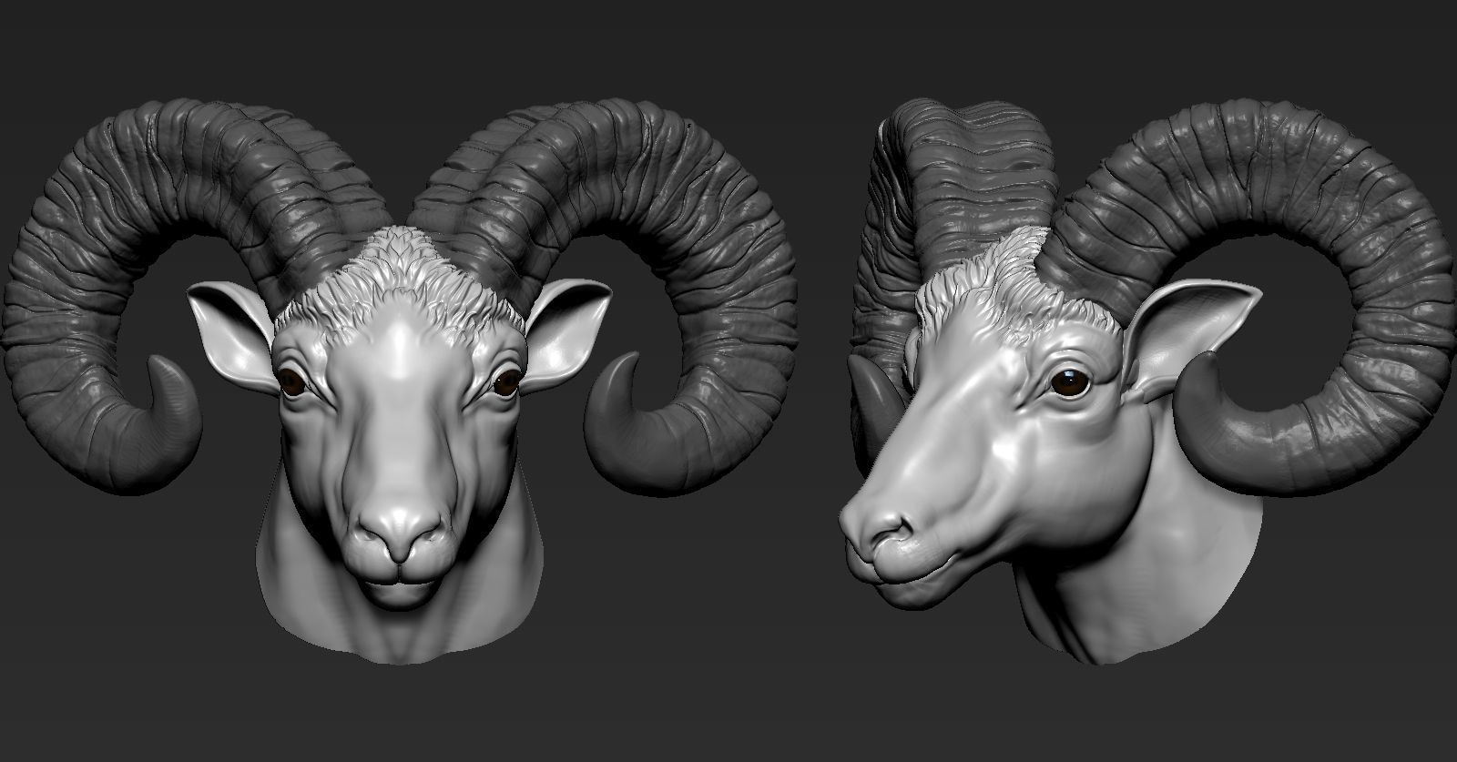 Ram Head 3D model 3D printable | CGTrader