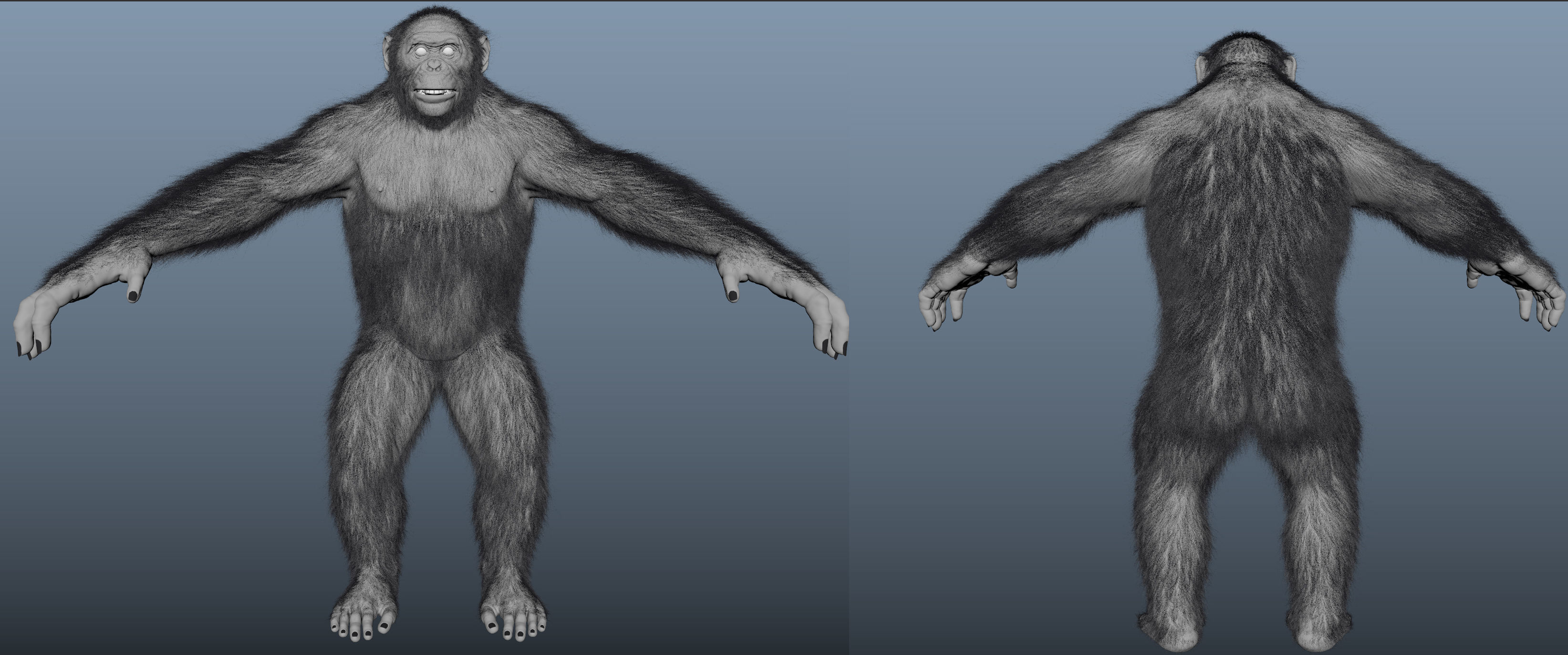 Bonobo High detailed Realistic 3D Model 3D model | CGTrader