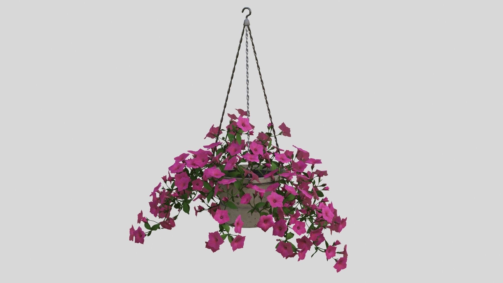 Hanging flower 3D model | CGTrader