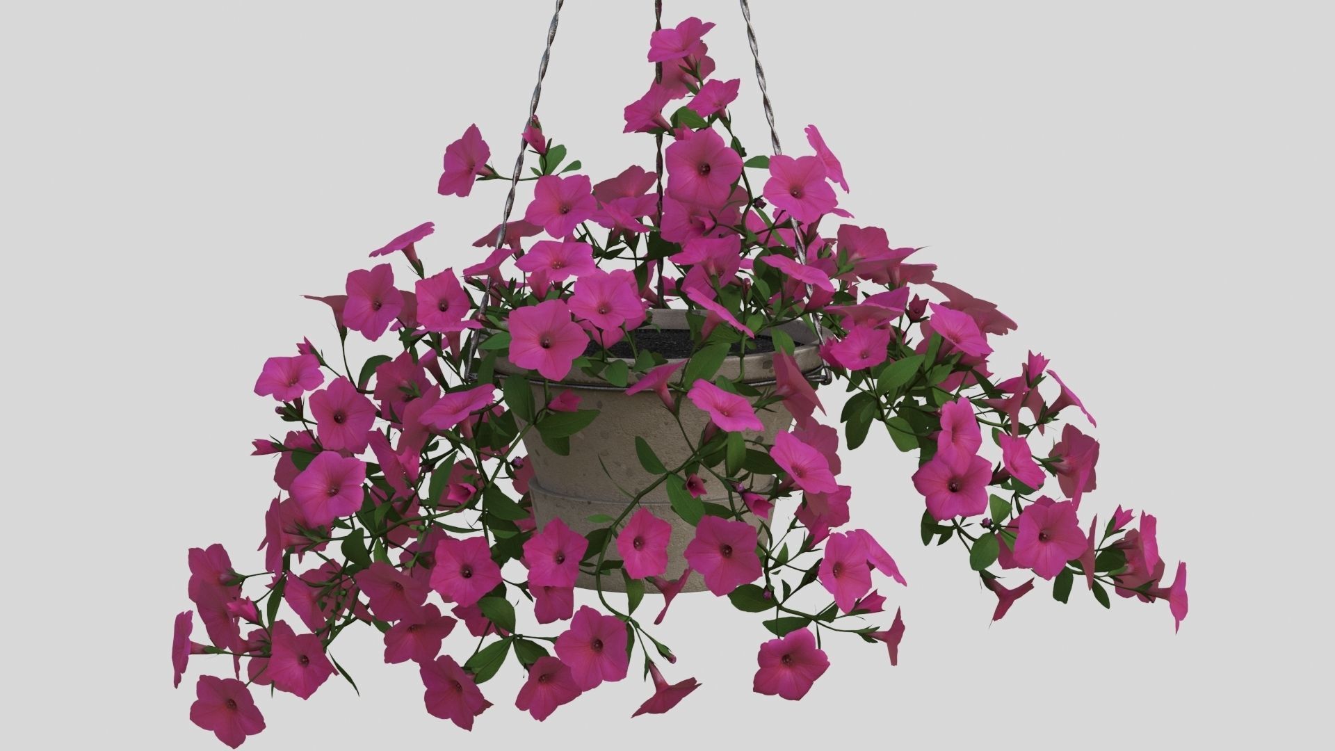 Hanging flower 3D model | CGTrader