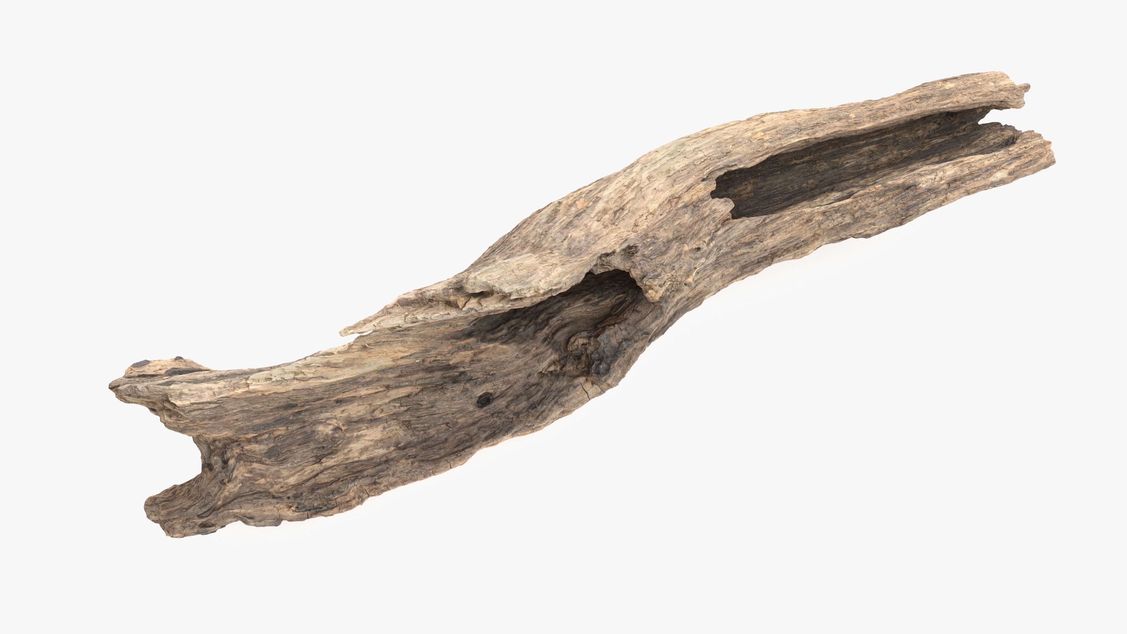 3D model Snag Root Hideout VR / AR / low-poly | CGTrader