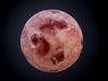 Gore Blood Guts Skin Cuts Seamless PBR Texture 03 Texture | CGTrader
