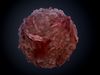 Gore Blood Guts Skin Cuts Seamless PBR Texture 11 Texture | CGTrader