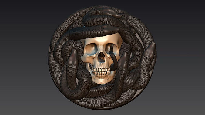 Medallion Skull and Snakes 3D model 3D printable | CGTrader