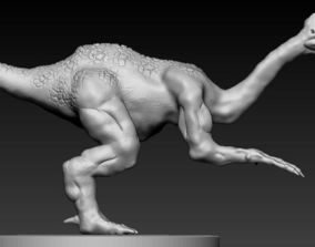 Emu 3D Models | CGTrader